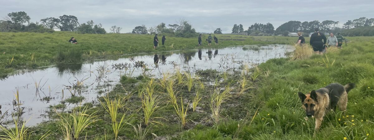 Toimata Foundation | Inspiring action across the Toimata network ...