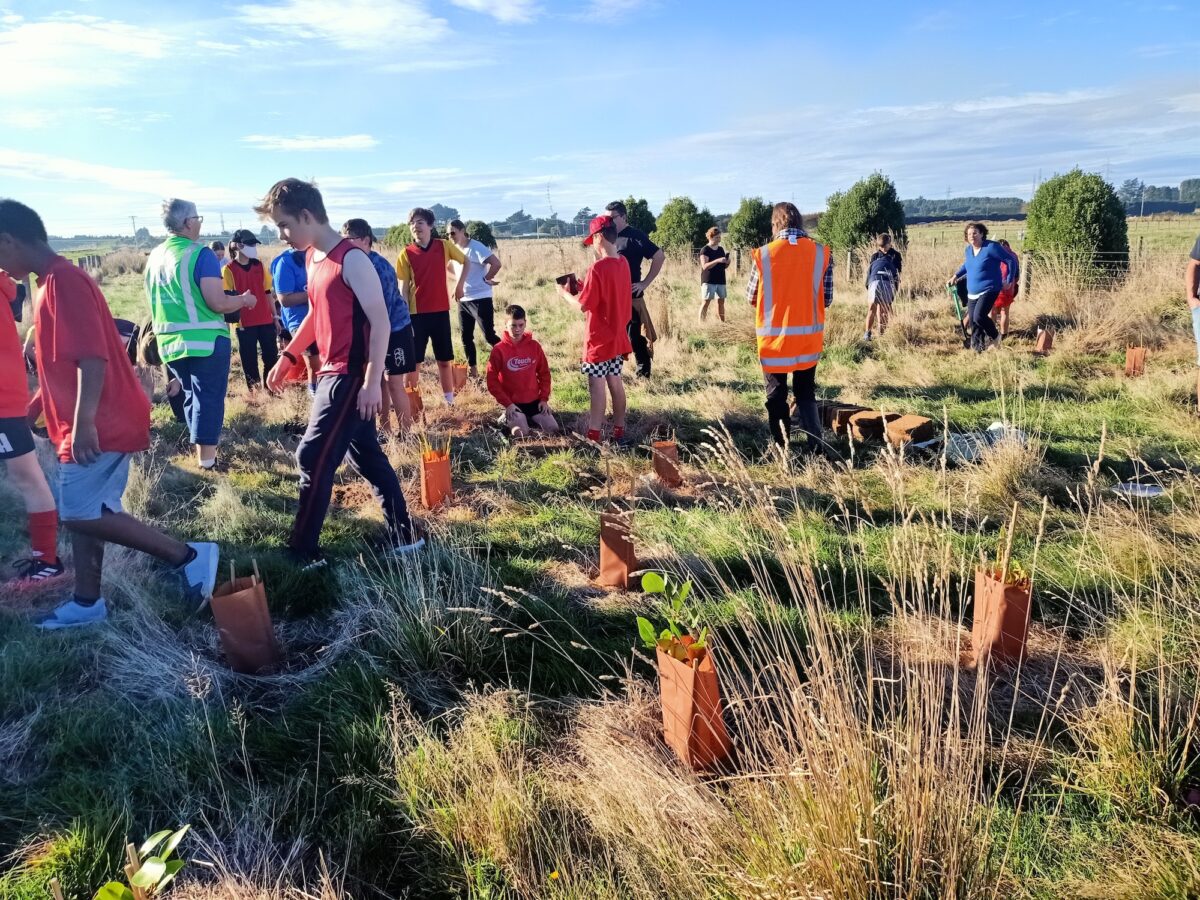 Toimata Foundation | Inspiring action across the Toimata network ...