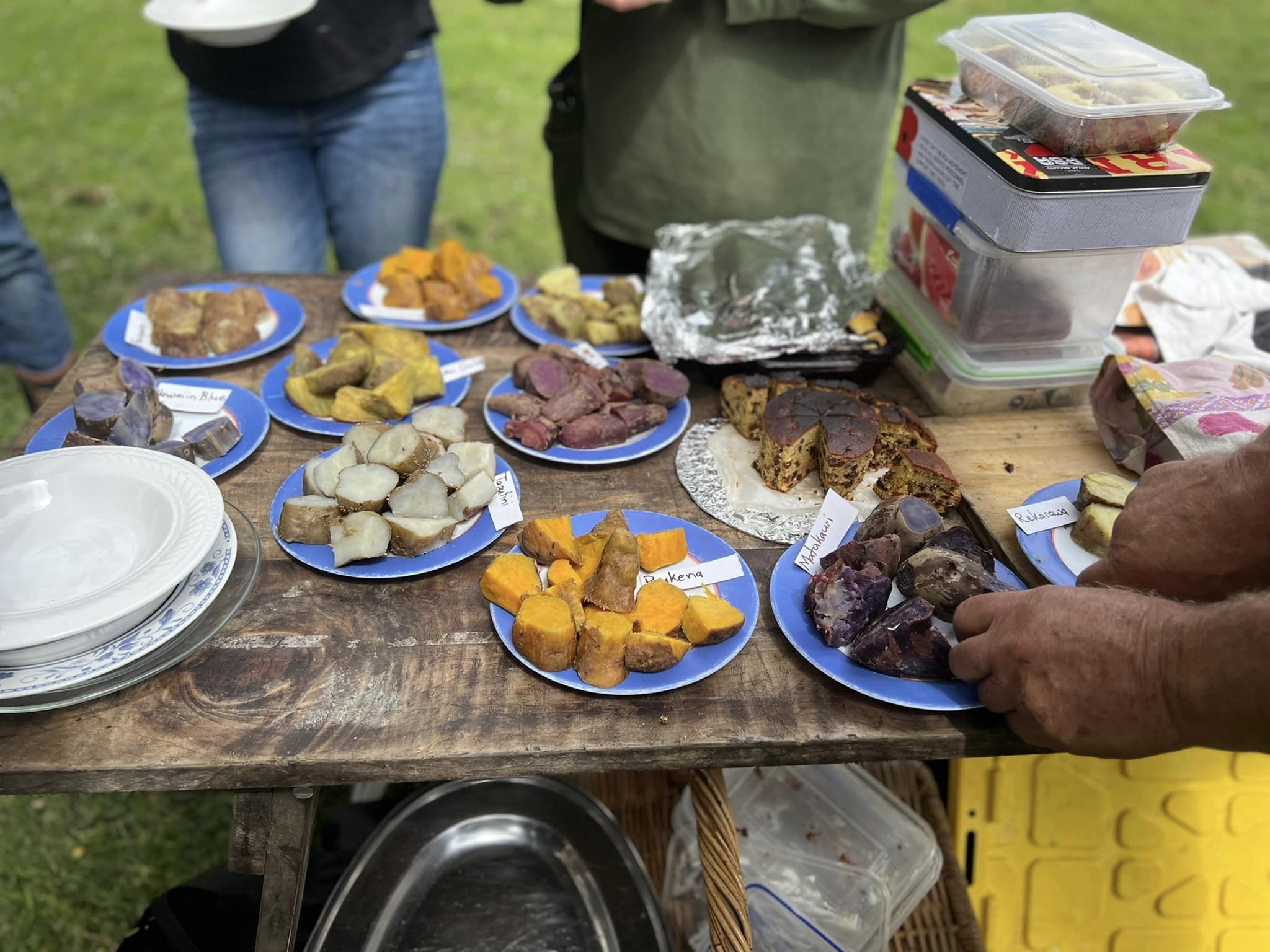 Toimata Foundation | Ngā Wānanga o te Hōkai Nuku