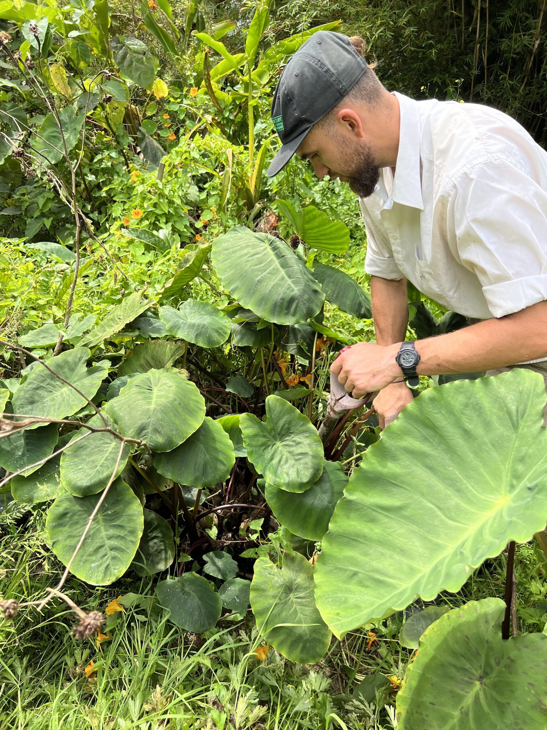 Toimata Foundation | Ngā Wānanga o te Hōkai Nuku