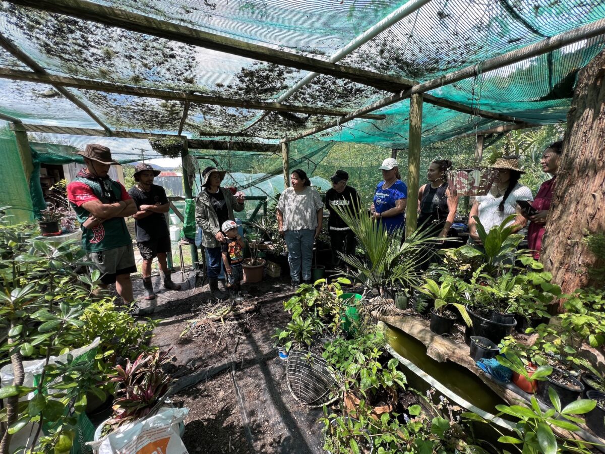 Toimata Foundation | Ngā Wānanga o te Hōkai Nuku