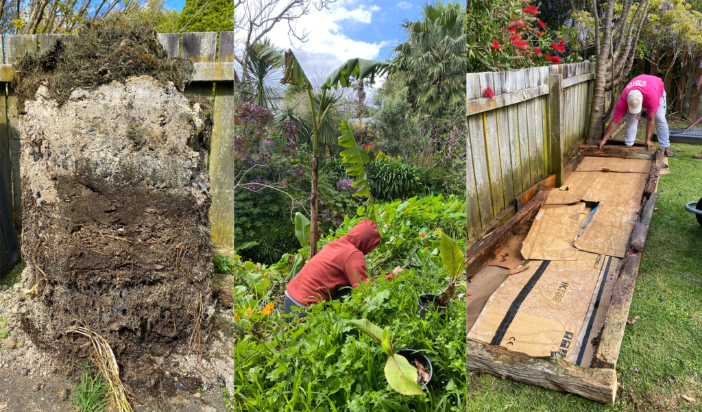 Toimata Foundation | Kai Ora Kāinga Ora