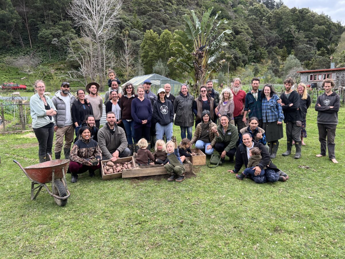 Toimata Foundation | Te Hōkai Nuku Wānanga