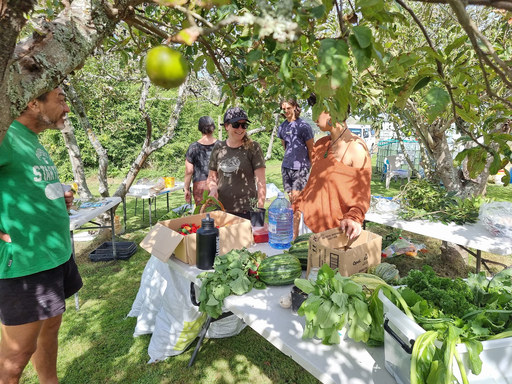 Toimata Foundation | Uawa Seed and Crop Swap
