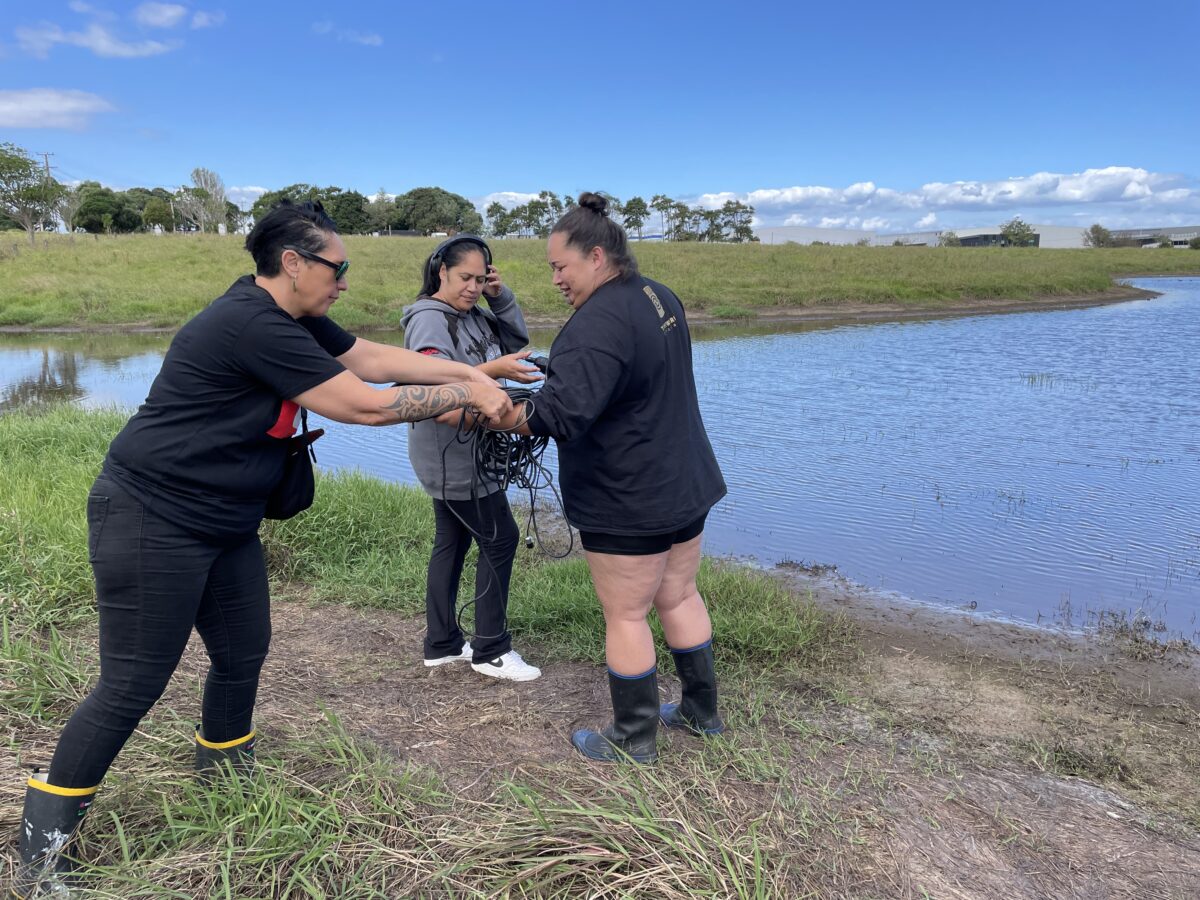 Toimata Foundation | REPO RESTORATION PROJECT AT IHUMAATAO